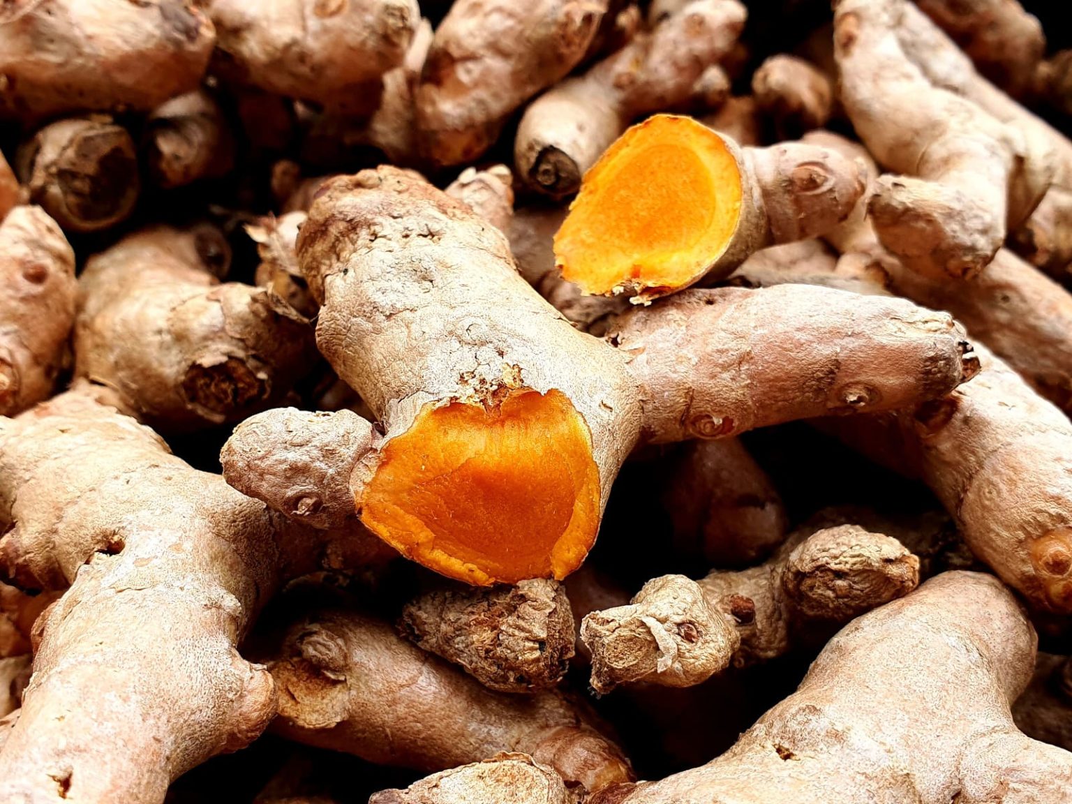 Curcuma bio poudre de La Réunion du Domaine de Picasso 80 g